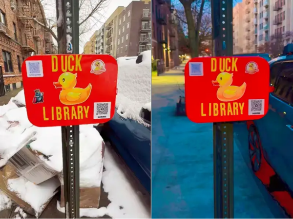 Duck Librarian | St. Luke's